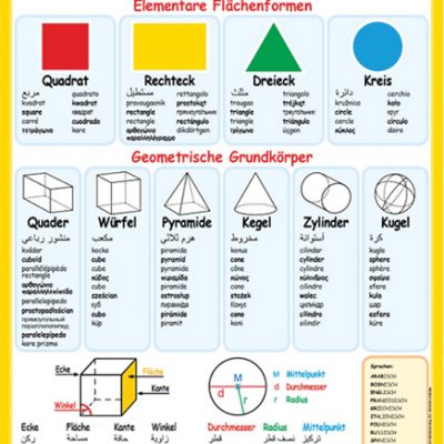 LernPOSTER "Der Sprachenbaum unserer Gruppe" (KiTa) - TALISA ...